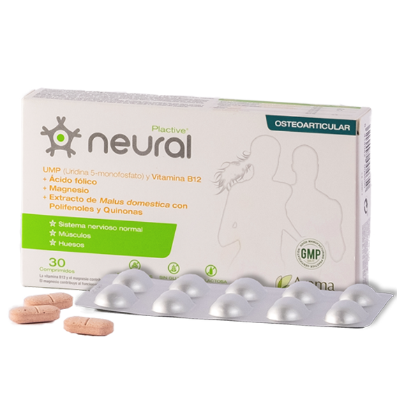 Neural | Arama Natural España